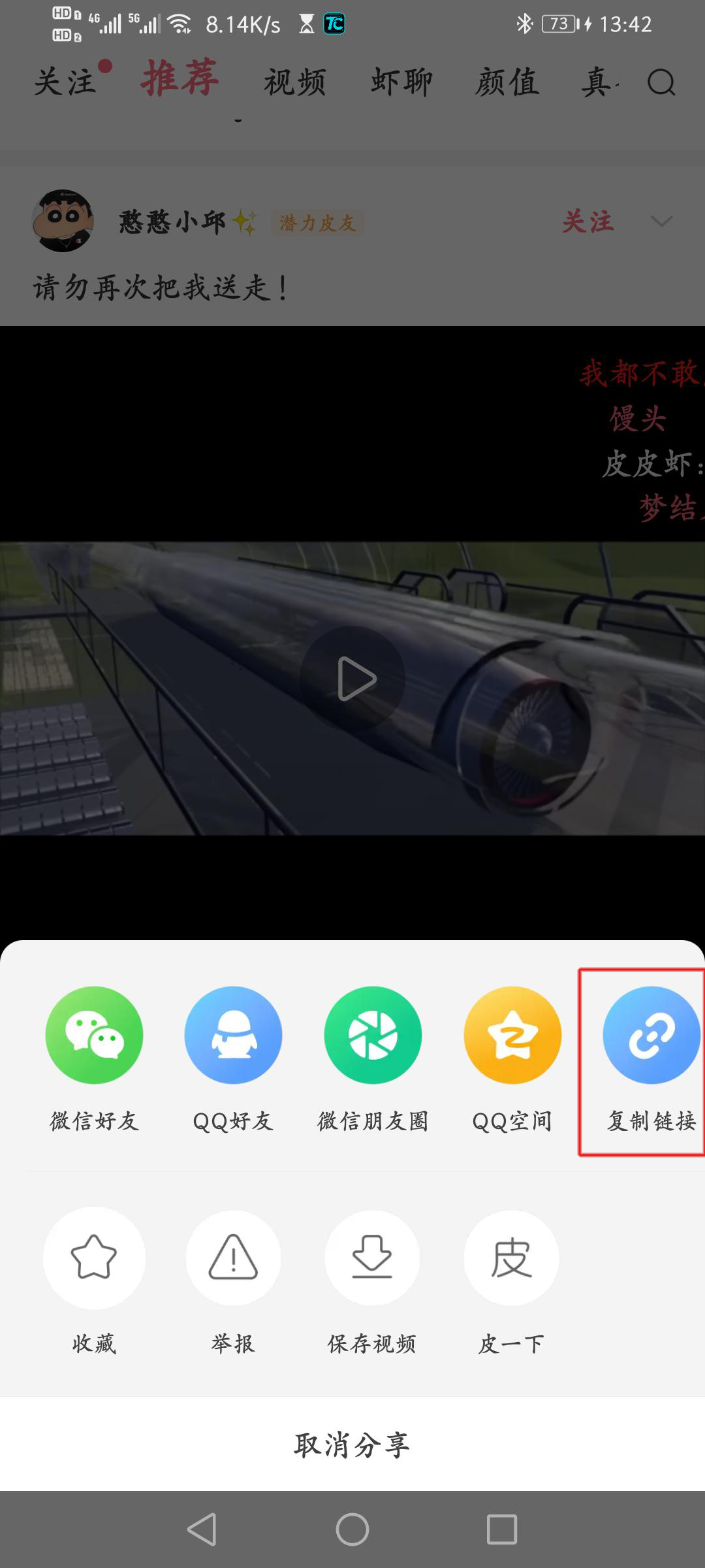 皮皮虾视频下载线上解析版 | 永恒玄音Blog