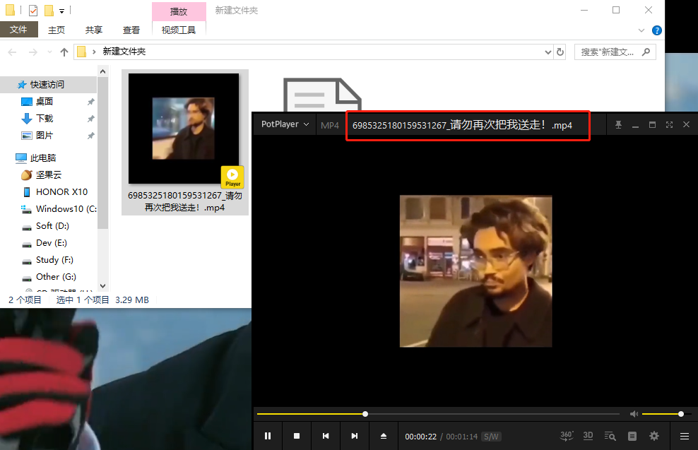 皮皮虾视频下载线上解析版 | 永恒玄音Blog